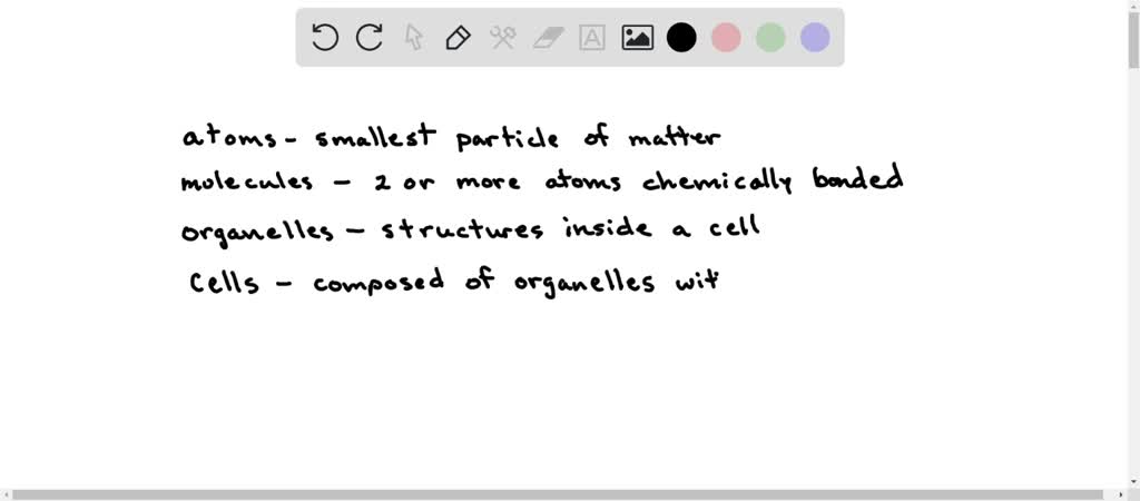 SOLVED: Rank the following levels of structural organization in terms ...