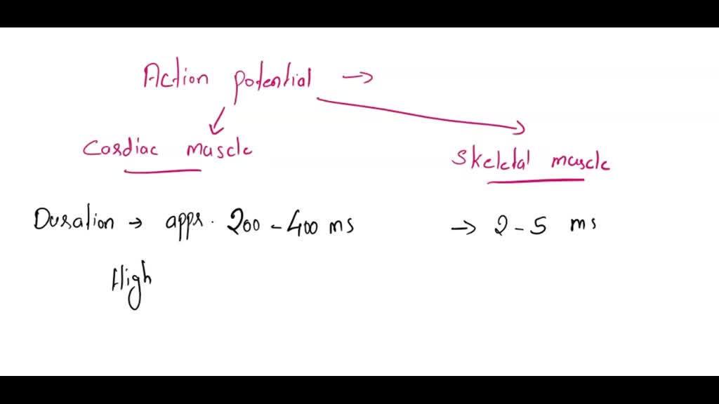 SOLVED: 1. Compare and contrast action potential in cardiac muscle VS. Skeletal muscle 2. List ...