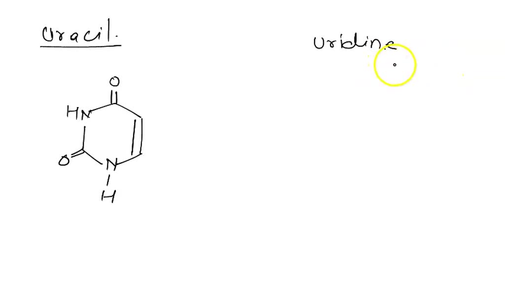 SOLVED: Draw the structure of Uracil and pseudouridine PLEASE SPECIFY ...