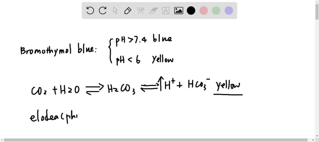 SOLVED: Bromothymol blue is an indicator solution that turns green or ...