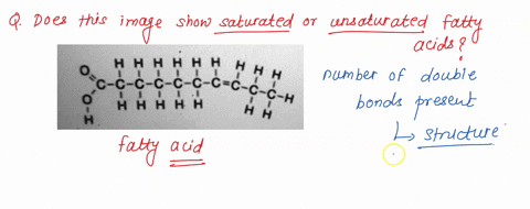 SOLVED: 'Are the fatty acid tails saturated or unsaturated? and What ...