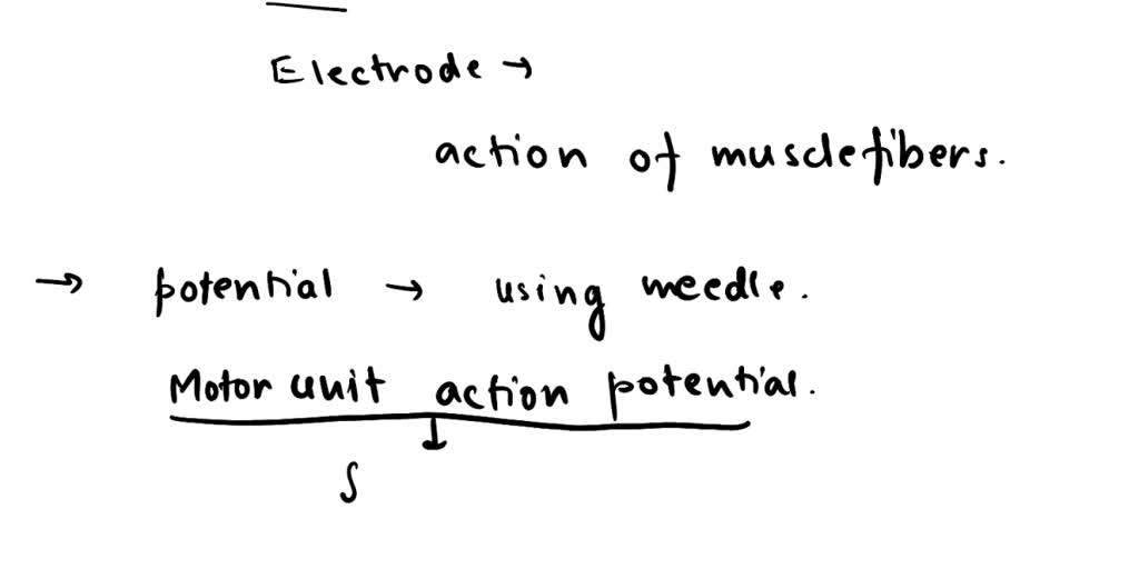 SOLVED: Consider the accuracy of recording muscle electrical activity ...