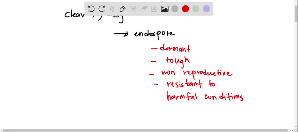 SOLVED: You find colorless areas in cells in a Gram-stained smear. What ...