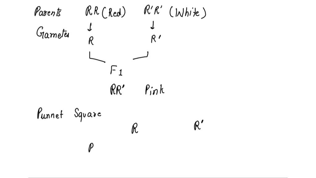 4. In carnations, red and white flowers make pink flowers. What complex ...