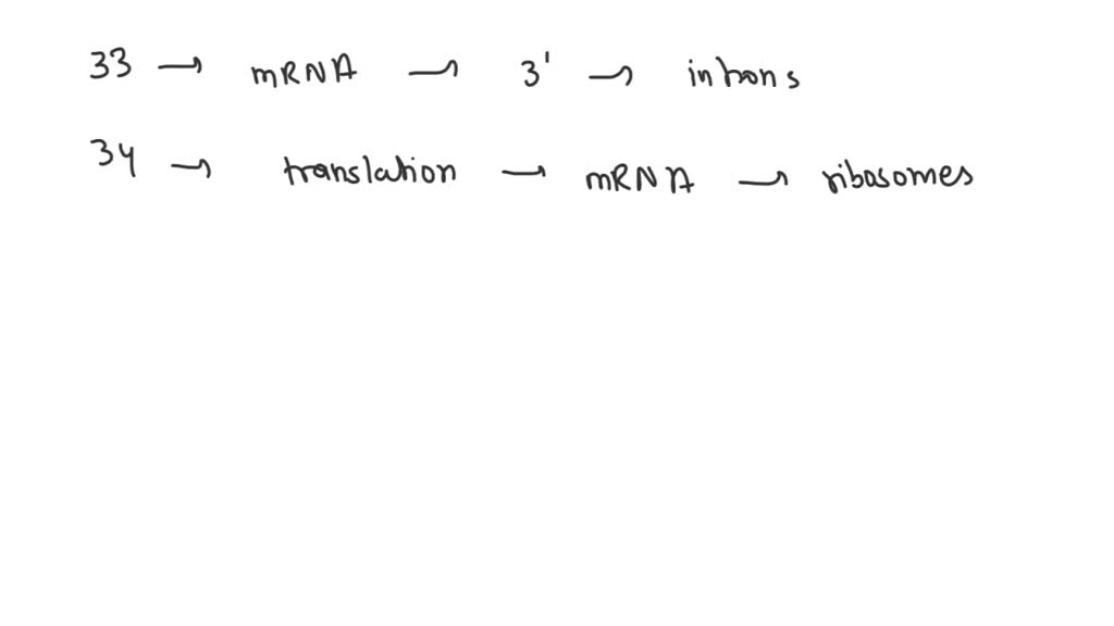 SOLVED: Question 33 (2 points) Newly transcribed mRNA molecules are ... SOLVED: Question 33 (2 points) Newly transcribed mRNA molecules are ...