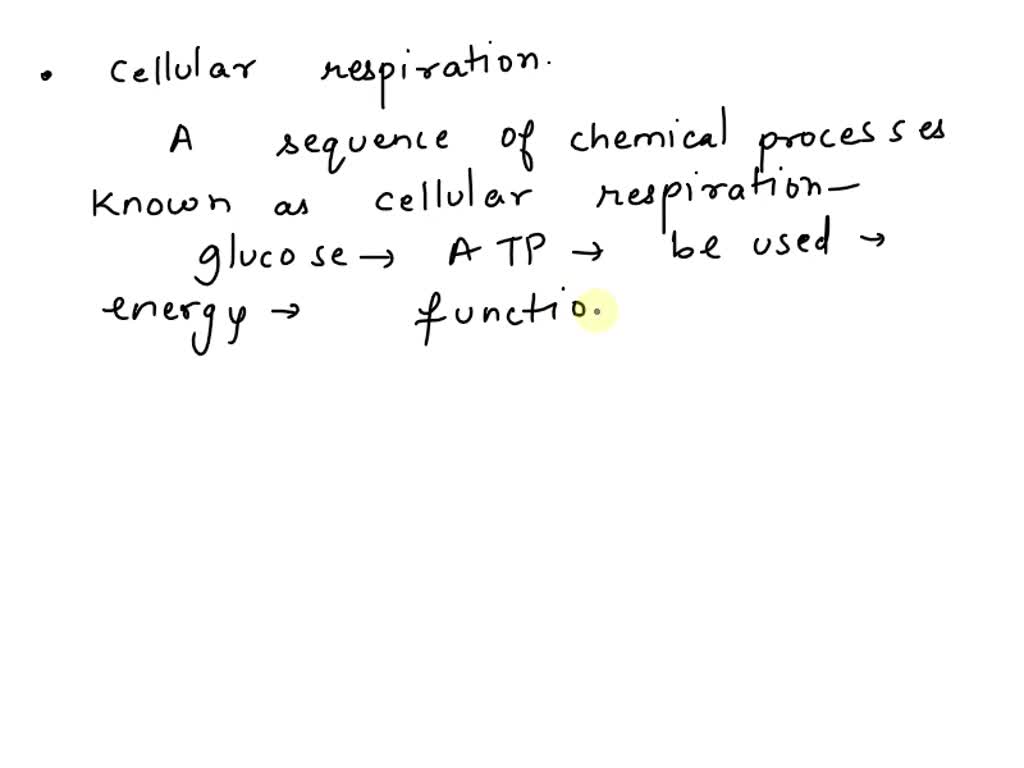 SOLVED: Which of the following represents an example of aerobic ...