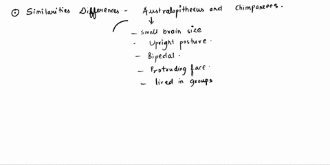 Describe the skeletal anatomy of homo habilis and homo...