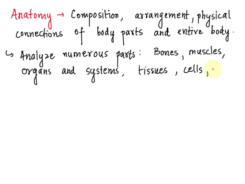 SOLVED: What is the difference between anatomical cross-sectional area ... SOLVED: What is the difference between anatomical cross-sectional area ...