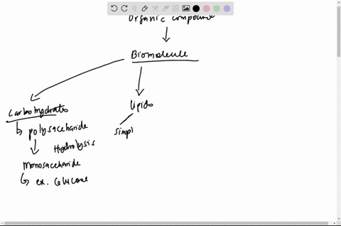 Instructions draw a concept map or chart of complement...