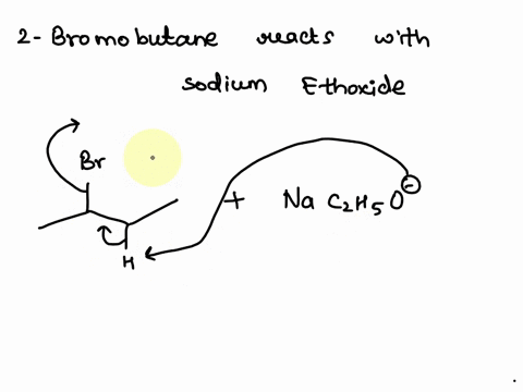 sodium ethoxide reacts with 2 bromobutane in a single step called ...