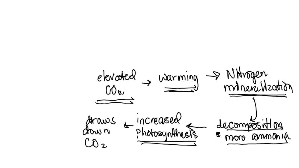 SOLVED: 04.23. Some researchers have hypothesized that the feedback ...