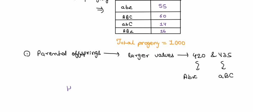 SOLVED: A female fly is heterozygous for three X-linked genes. The ...