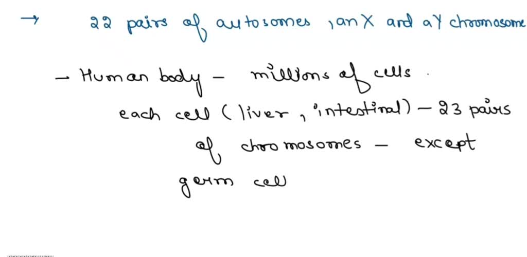 SOLVED: liver ' cell from human male has A. 22 pairs of autosomes and ...