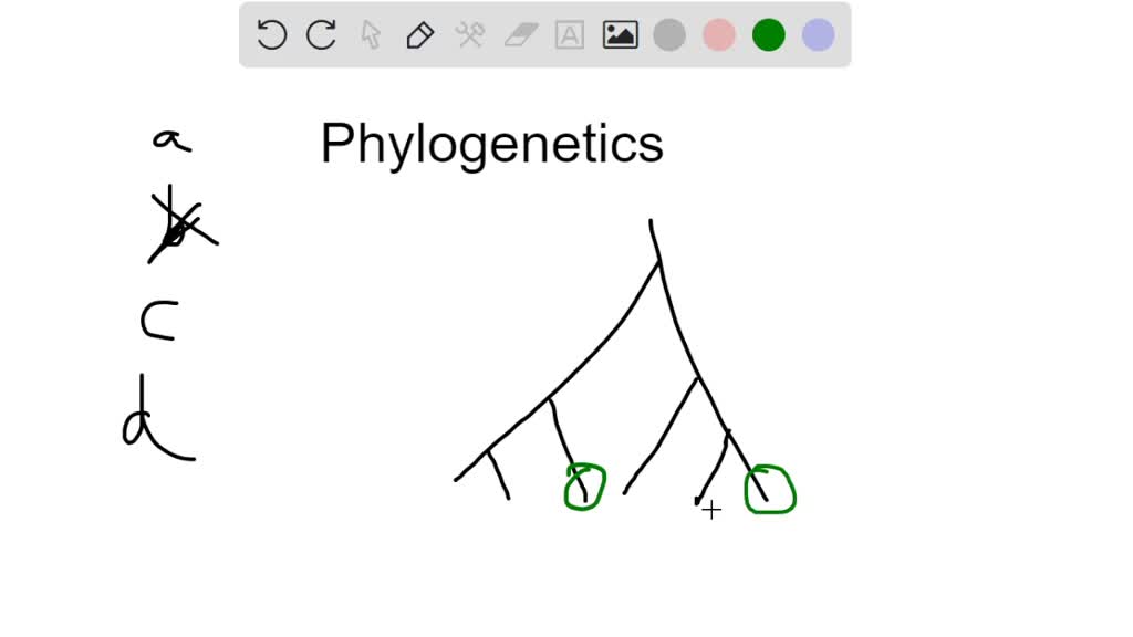 SOLVED: ' help me please thanks Question 4 The image below represents ...