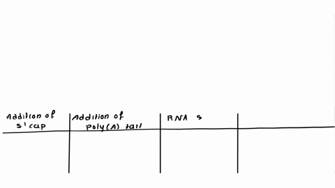 1 to understands the role of some modifications that mrna...