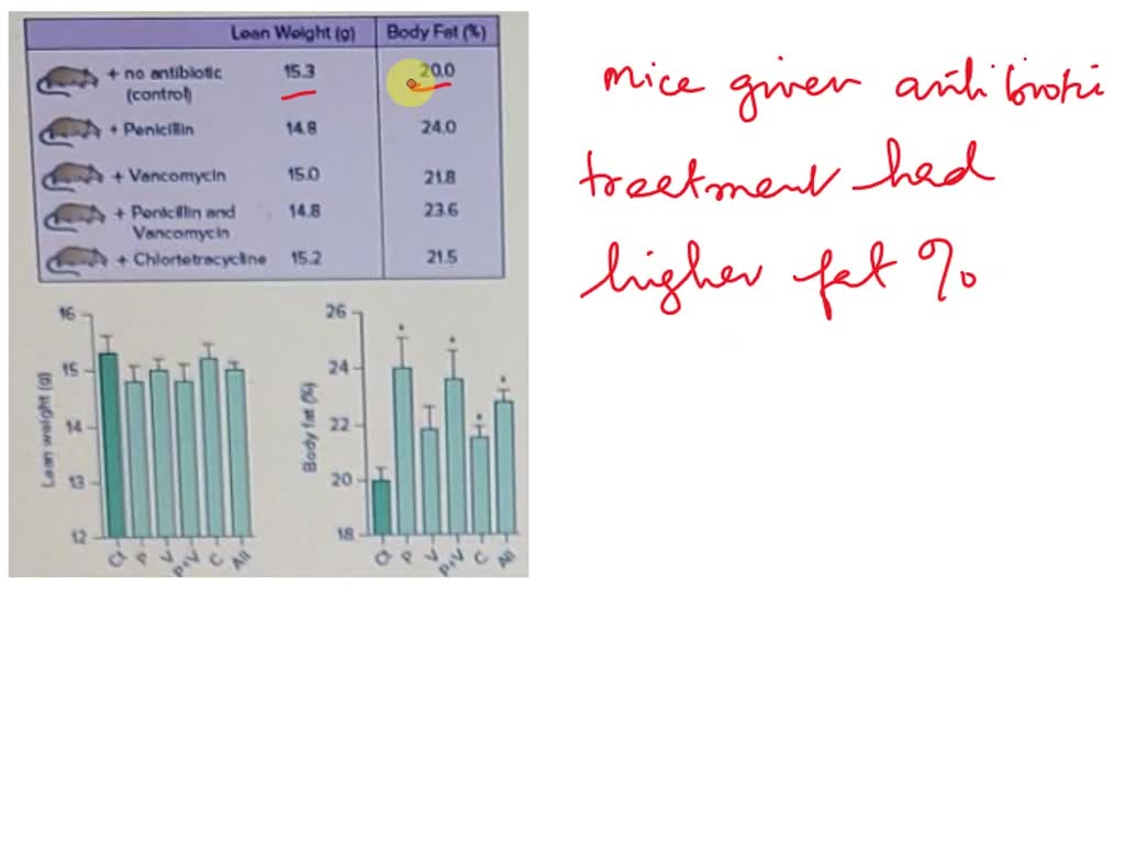 SOLVED: Text: Review the table and graph below, and select all of the statements that are ...