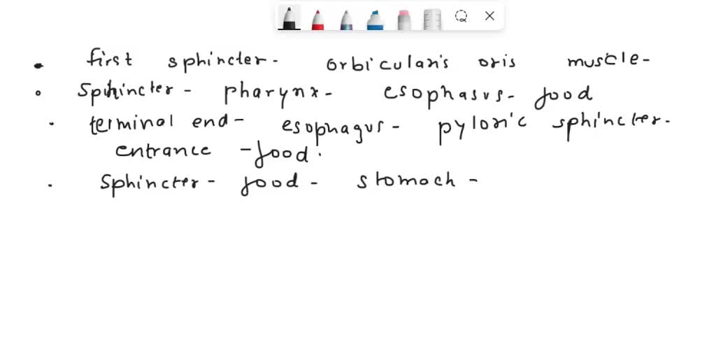 SOLVED: Complete each sentence by dragging the proper label into the ...