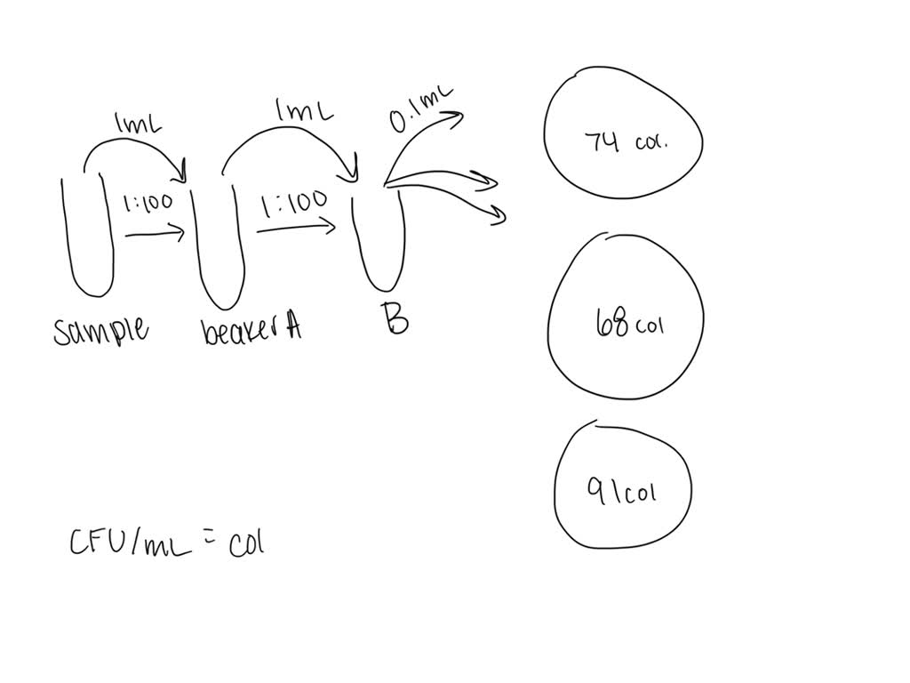 SOLVED: You are working with a sample of waste water from an industrial ...