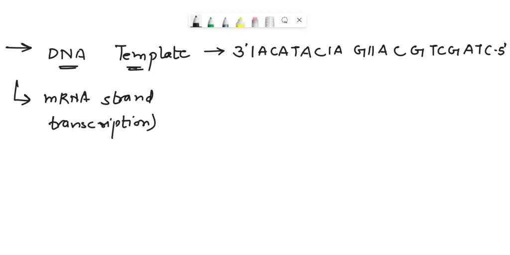 SOLVED: 7. Write the DNA sequence complementary to your mRNA here. Notice that polarity ...
