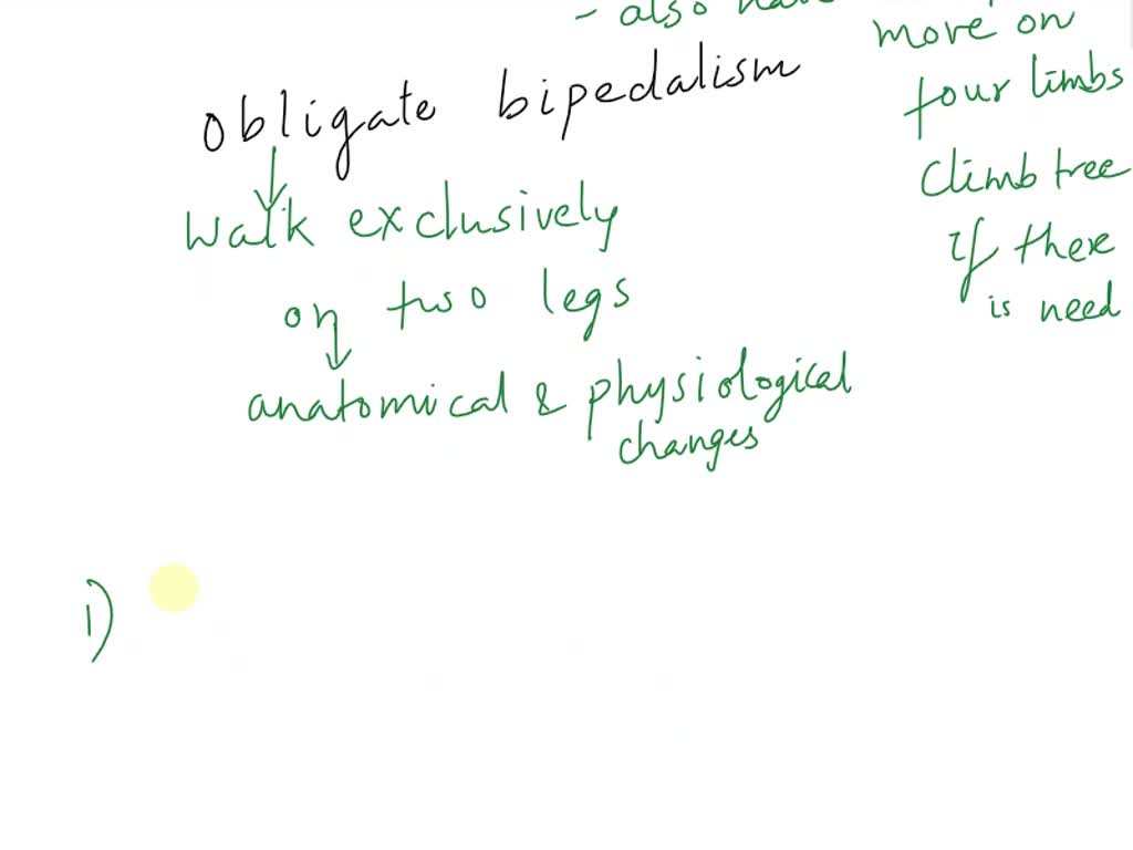SOLVED: What is the difference between habitual and obligate bipedalism ...