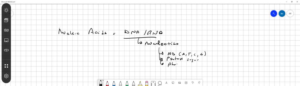 SOLVED: Adenine (A), thymine (T), guanine (G), and cytosine (C) are the ...