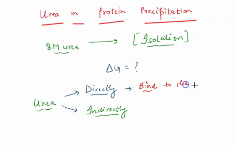 31. A solution of 8 M urea is sometimes used in the...