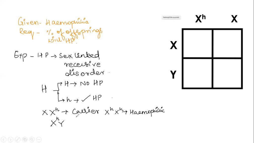 SOLVED: QUESTION 13 allele. A man is a autosomal recessive caused by an ...