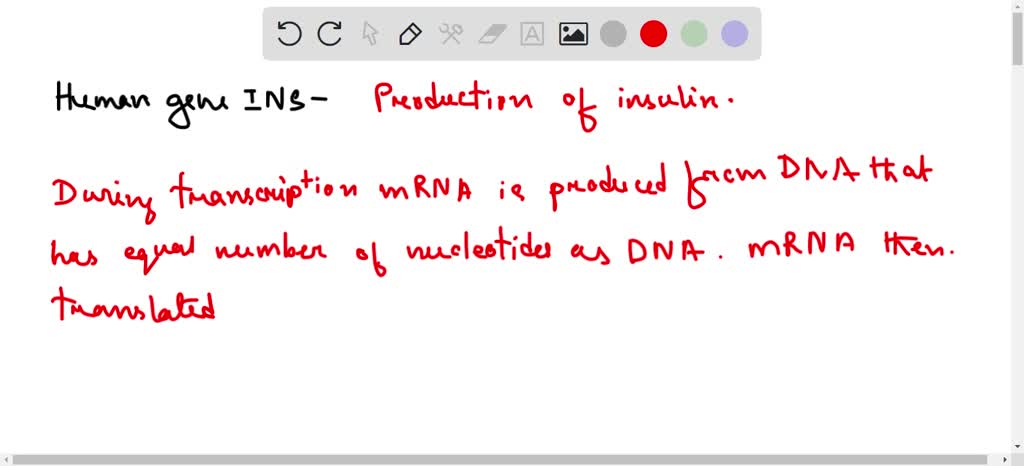 SOLVED: In humans, the INS gene codes for insulin. This gene has a ...