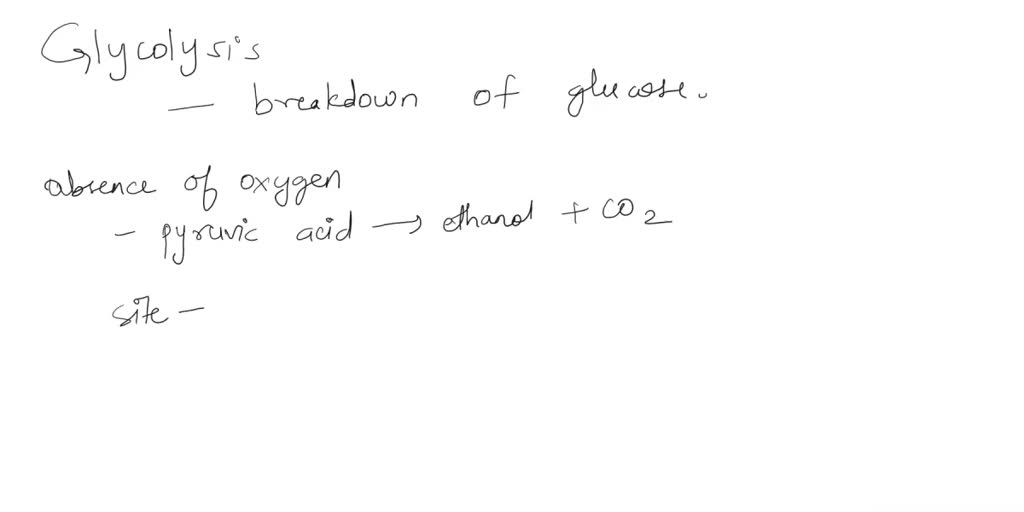 SOLVED: 1. Write a balanced chemical equation for glucose metabolism ...