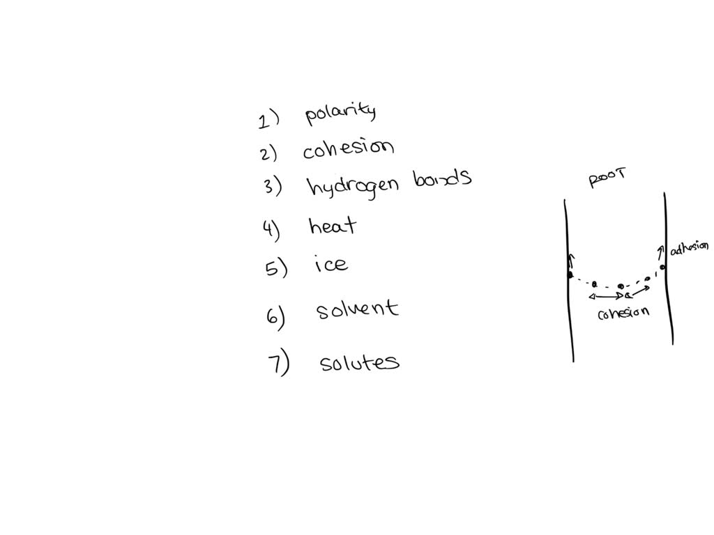 Temperature Moderation Of Water