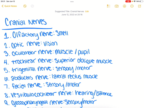 SOLVED:Name the 12 cranial nerves in numerical order and their major ...