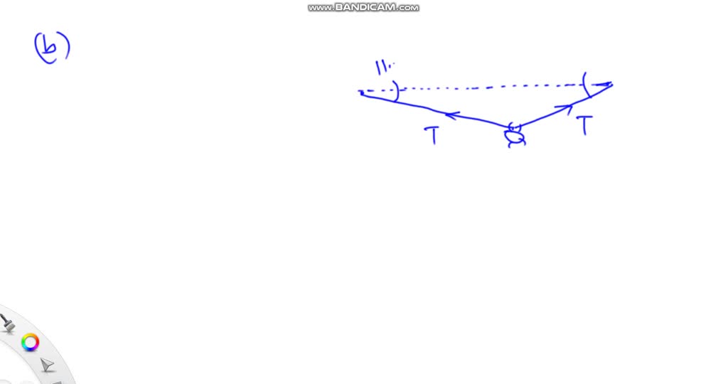 SOLVED: Calculate the tension in the vertical strand of a spider web if ...