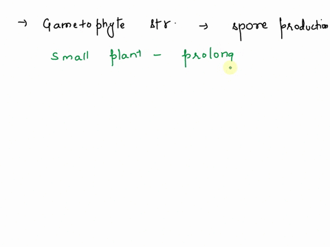 What is the gametophyte structure of fern pine tree and...