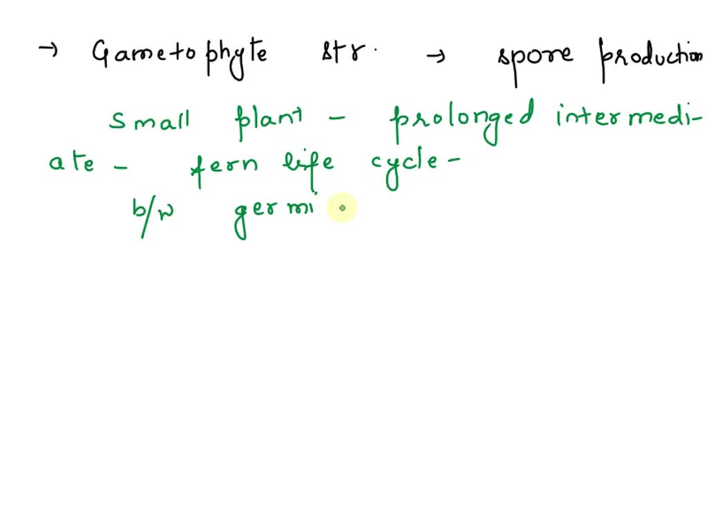 SOLVED: What is the Gametophyte structure of Fern, Pine tree, and ...