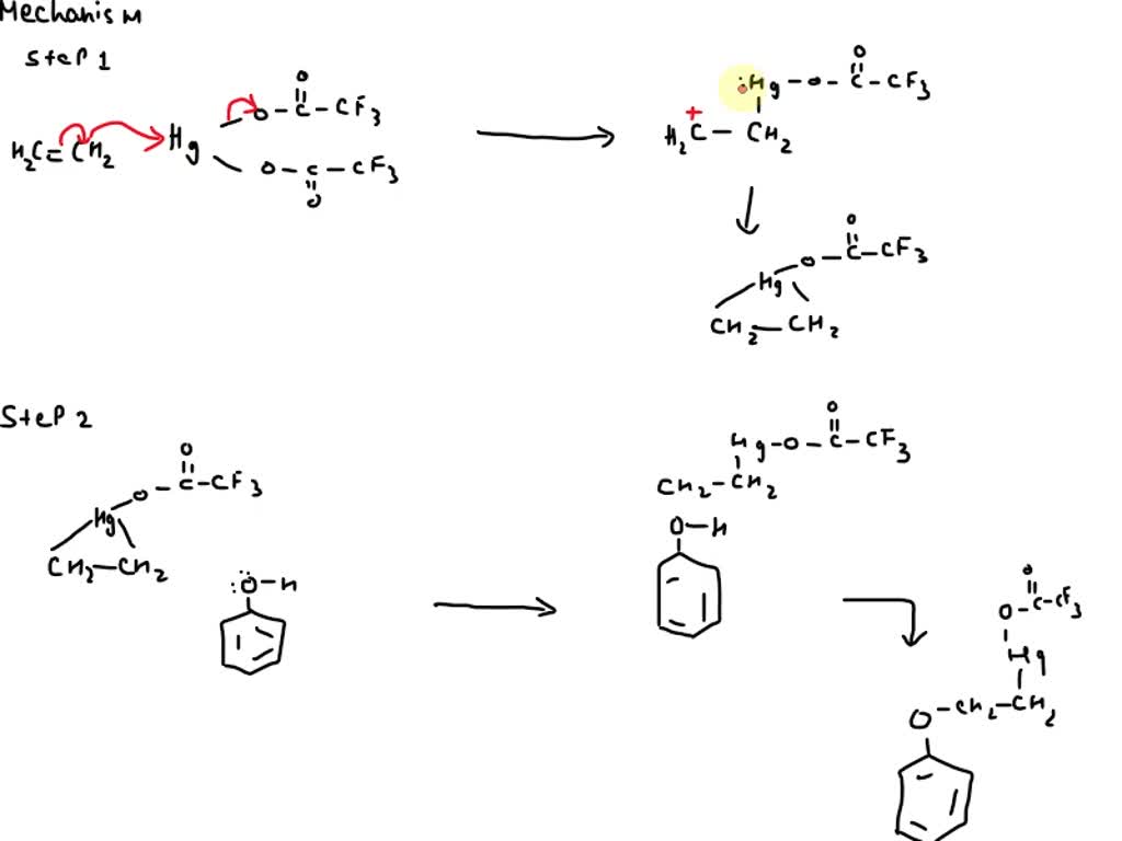 SOLVED: How can you prepare ethyl phenyl ether from phenol by the ...