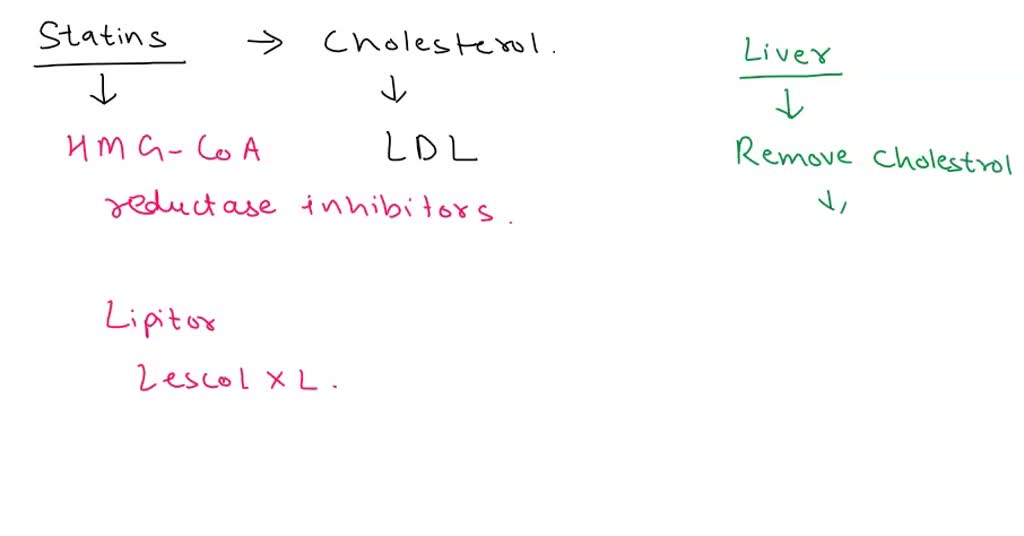 SOLVED: Statins are the most important type of cholesterol-lowering ...