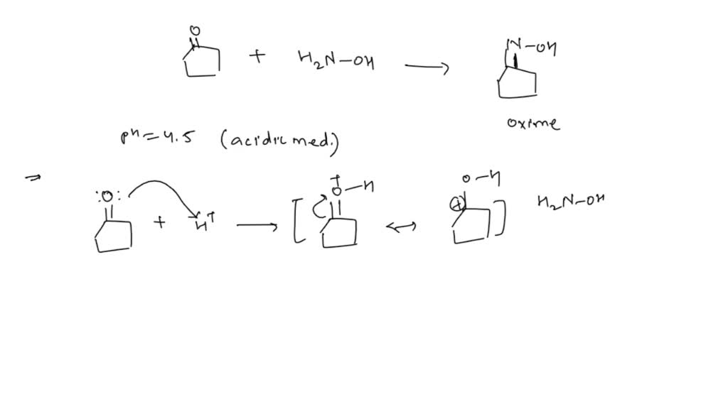 SOLVED: Draw a curved arrow mechanism for the reaction of ...