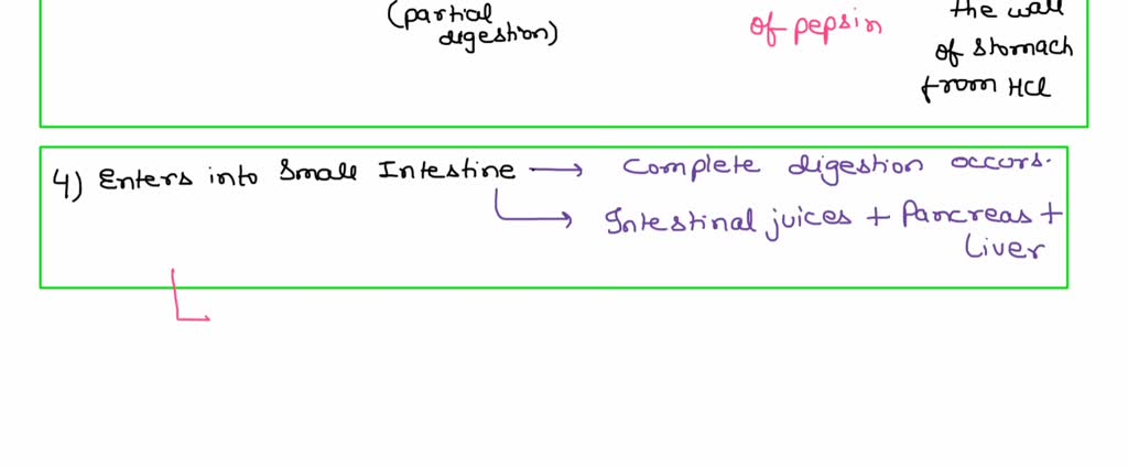 SOLVED: Complete the flow chart indicating the path of food through the ...
