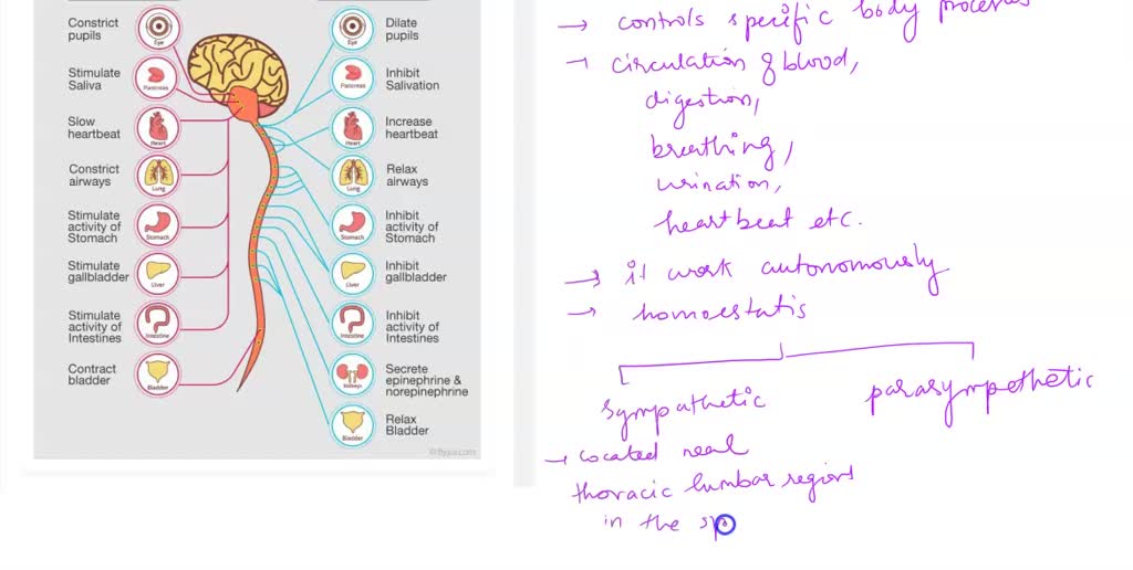 SOLVED: Question 9 of 10 Which of the following statements best ...