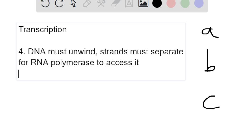 SOLVED: Place the following events in their correct sequence and note the location of each event ...