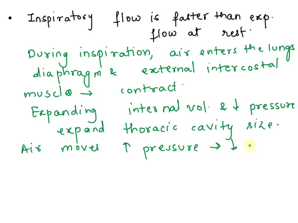 SOLVED: Explain why inspiratory flow is faster than expiratory flow at ...