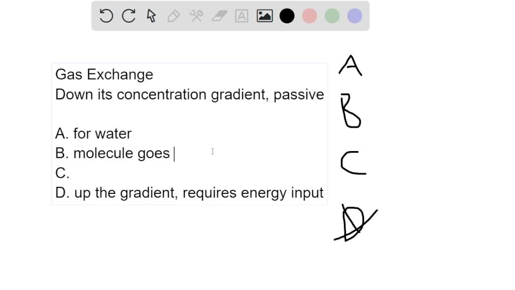 SOLVED: Would breathing pure oxygen cause a large increase in oxygen ...