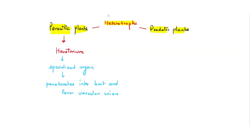 SOLVED: Directions: Research examples of parasitic plants and predator ...