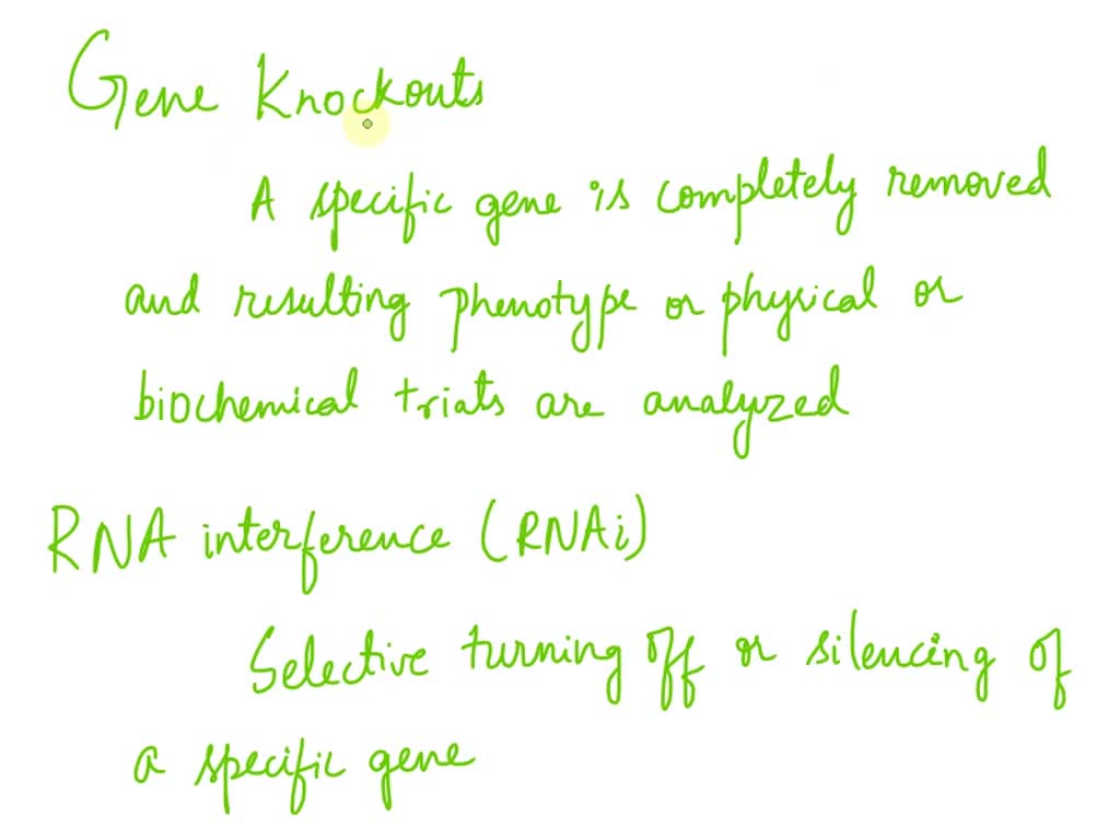 SOLVED: Understand Gene knockouts and transgenes. Know what they are ...