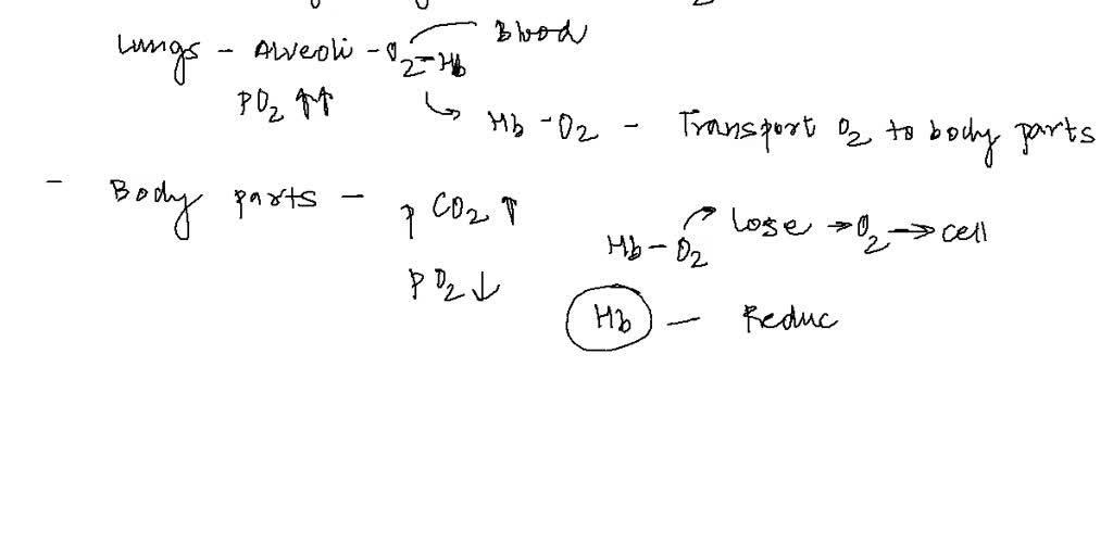 SOLVED: Cellular Mechanism 39-Explain the respective physiological ...