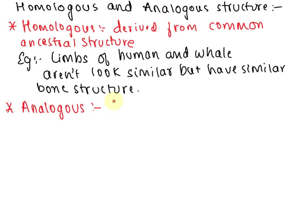 Pigs and deer have similar ankle bones. Are pigs and deer closely ...