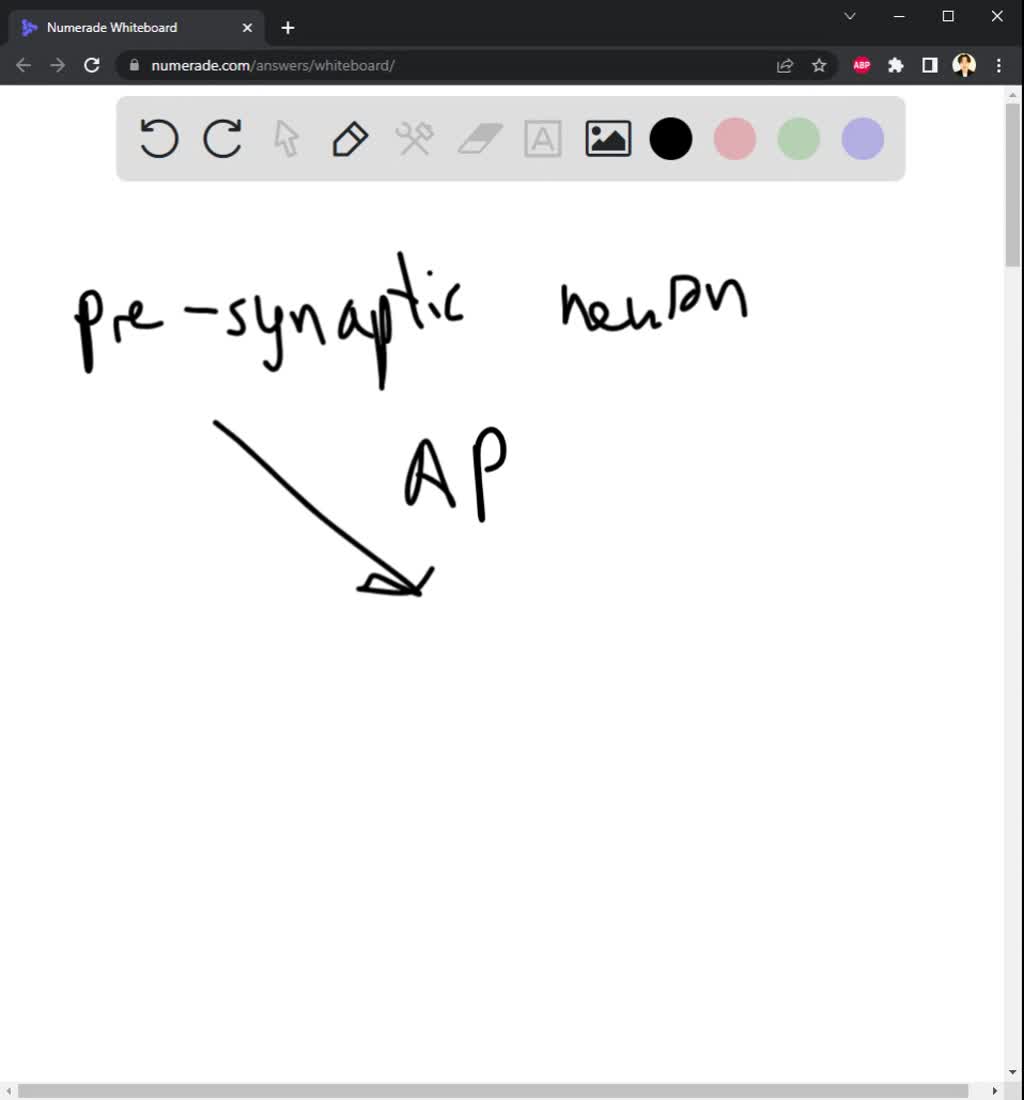 SOLVED: What is temporal summation? A process during which a presynaptic action potential ...