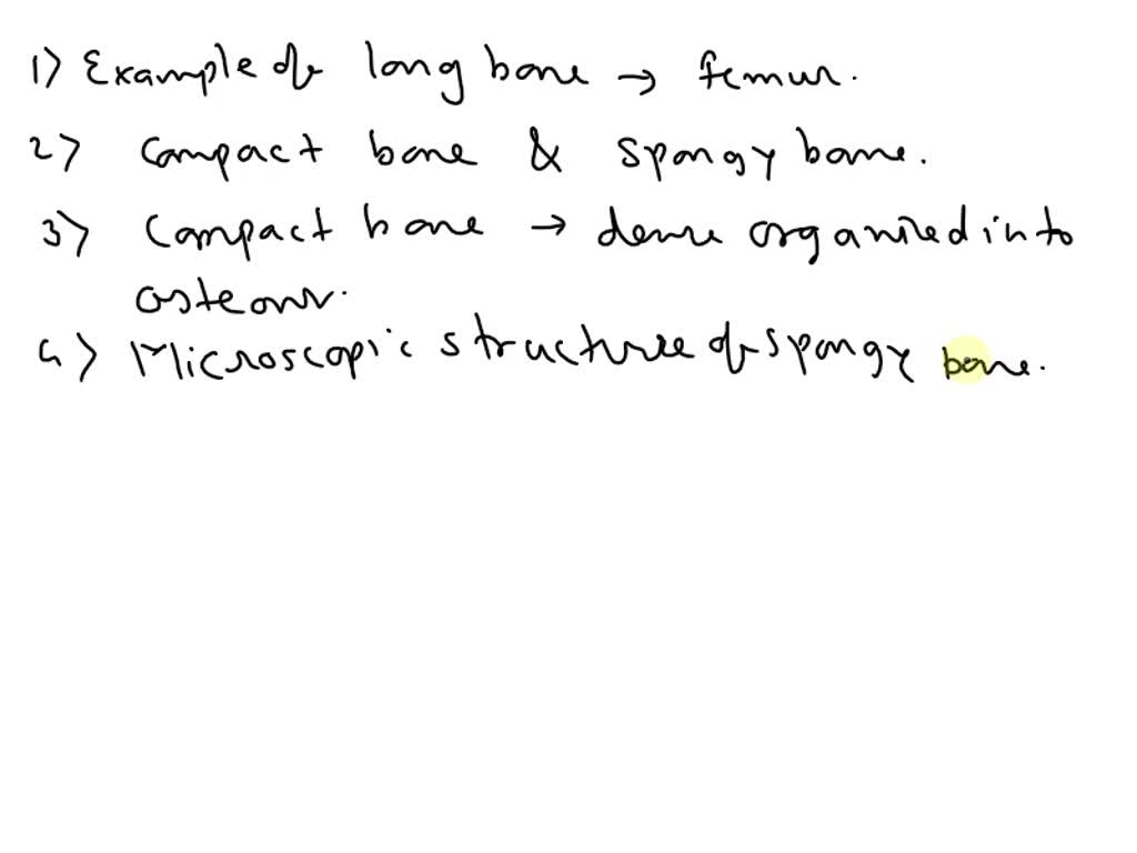 SOLVED EXERCISE REVIEW SHEET Lab 5201l0n Introduction To The Skeletal solved-exercise-review-sheet-lab-5201l0n-introduction-to-the-skeletal
