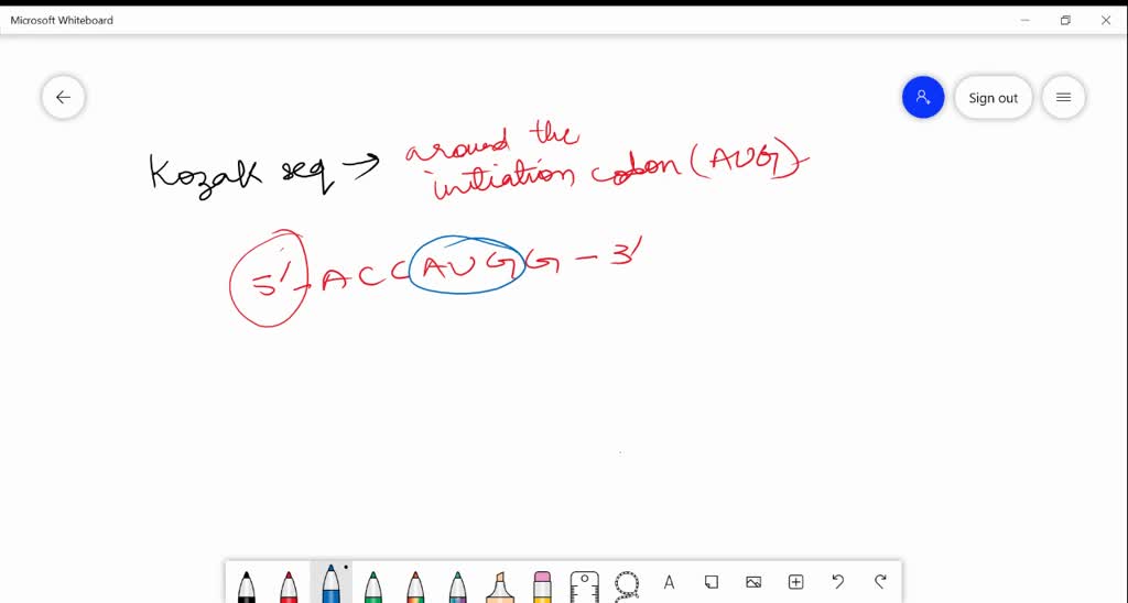 SOLVED: What is the function of the Kozak sequence in eukaryotes? A. it ...