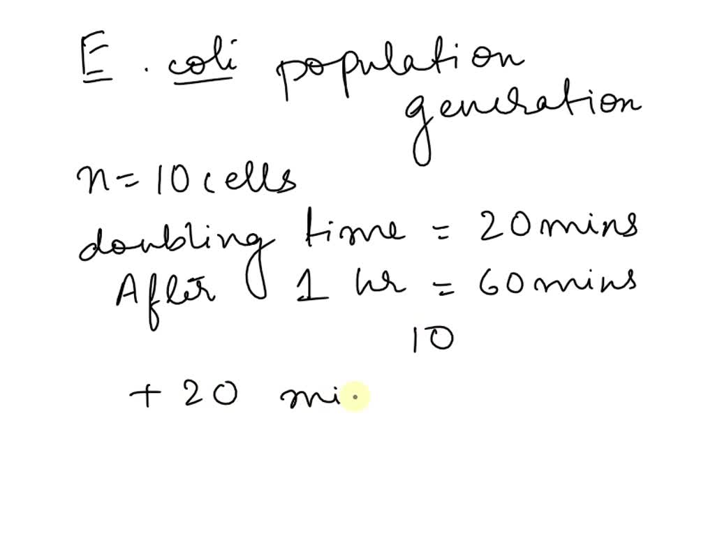 SOLVED: During log phase growth, E. coli double every 20 mins. Describe ...